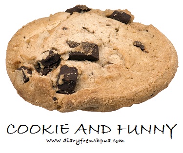 Plus de 1000 exemples de répliques d’humour arrogant, cocky funny ...