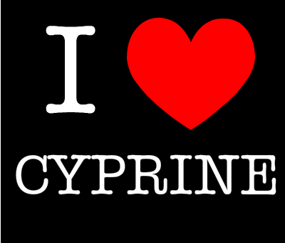 Des Nouvelles De La Formation Cyprine - Diary of a French PUA